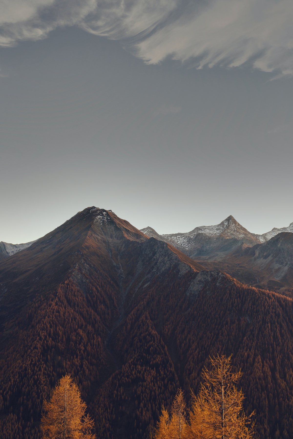 Log in | IMT Mines Albi